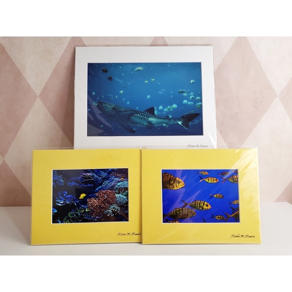 Art | Aquatic Photography Prints | Poshmark